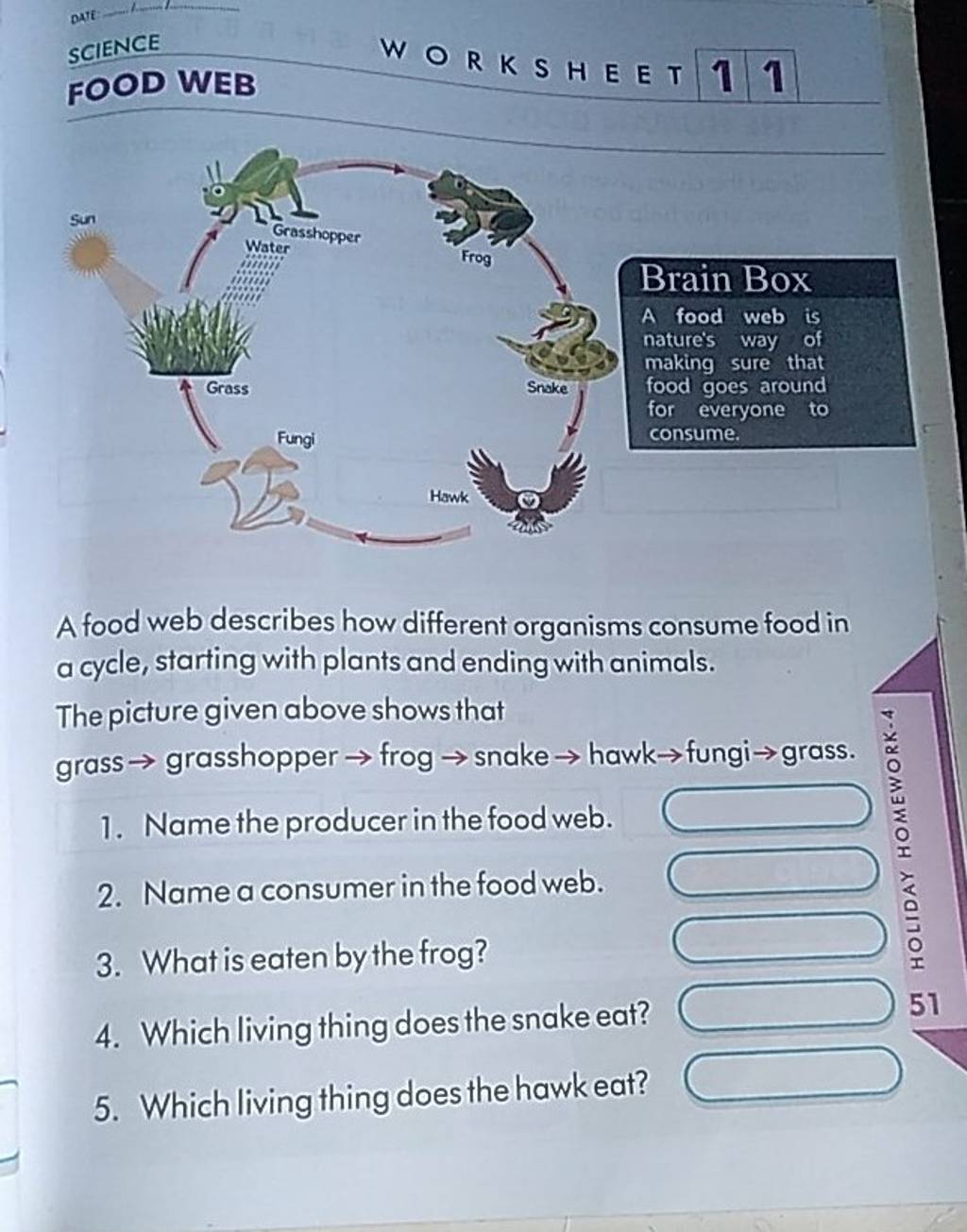 SCIENCE W ORKS HEE T 11 FOOD WEB Brain Box A food web is nature's way of