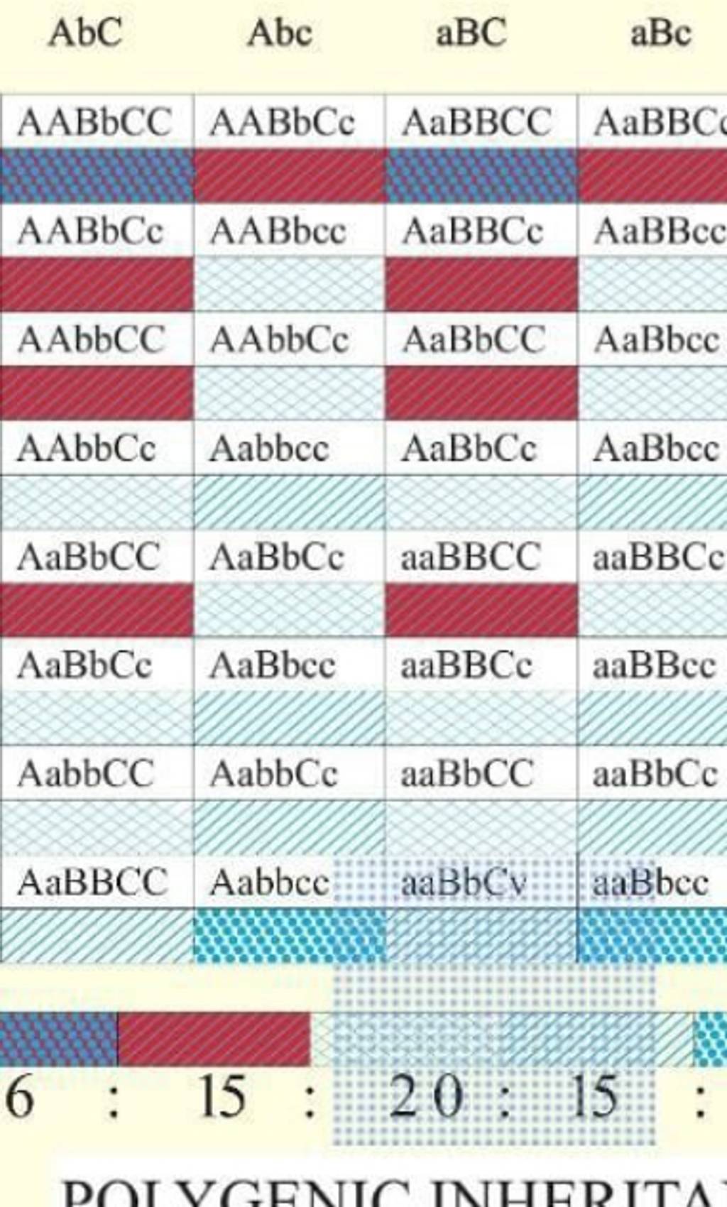 AbC Abc aBC aBc AABbCC AABbCc AaBBCC AaBBC. AABbCc AABbee AaBBCe AaBBee A..