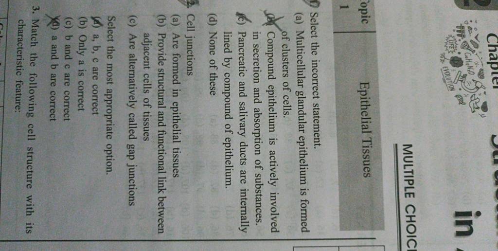 MULTIPLE CHOIC Select the incorrect statement. (a) Multicellular glandula.. MULTIPLE CHOIC Select the incorrect statement. (a) Multicellular glandula..