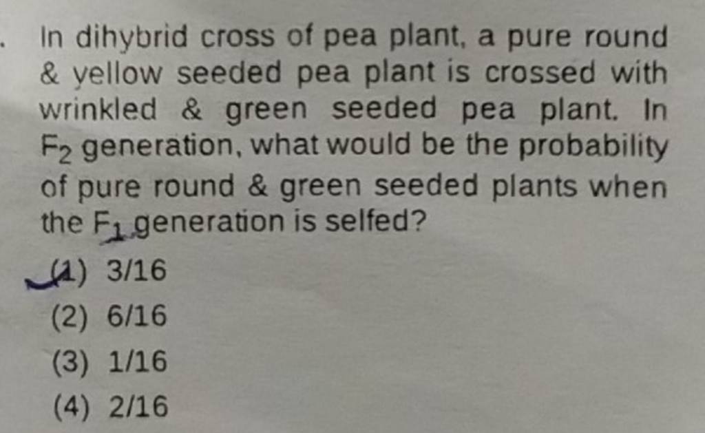 In dihybrid cross of pea plant, a pure round & yellow seeded pea plant is..