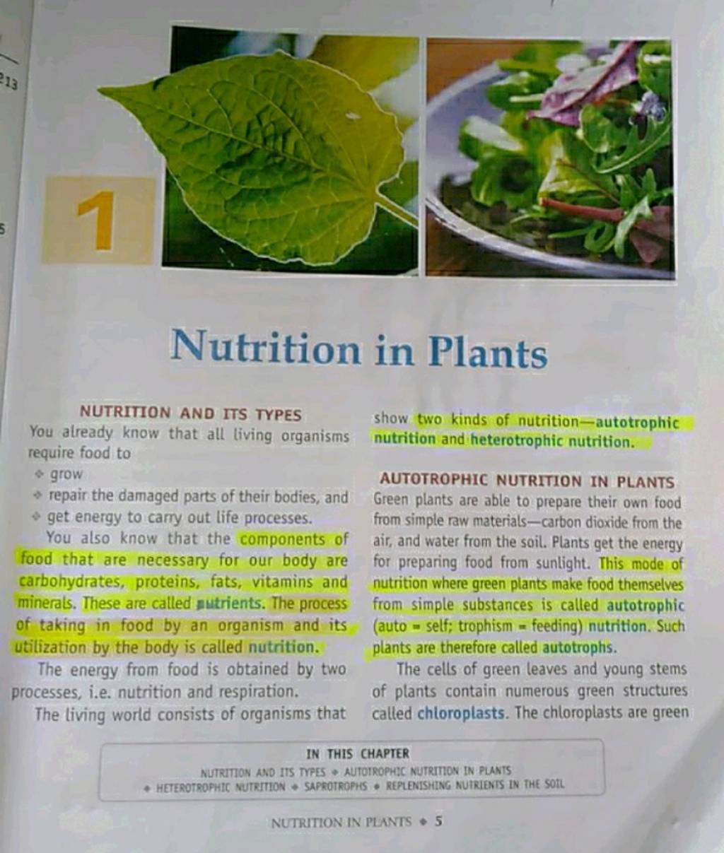 Nutrition in Plants NUTRITION AND ITS TYPES You already know that all liv..