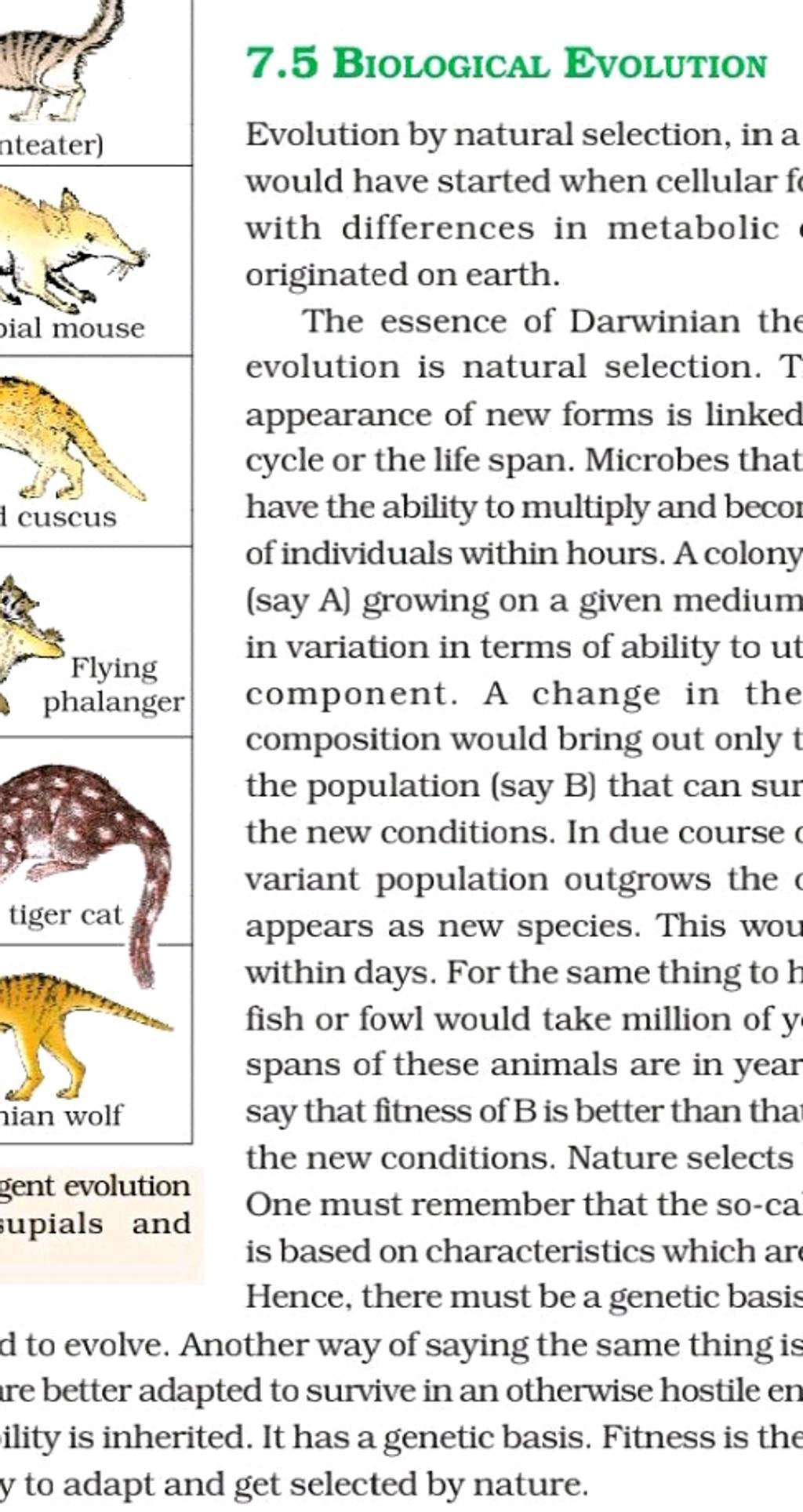 7.5 Biological Evolution Evolution by natural selection, in a would have