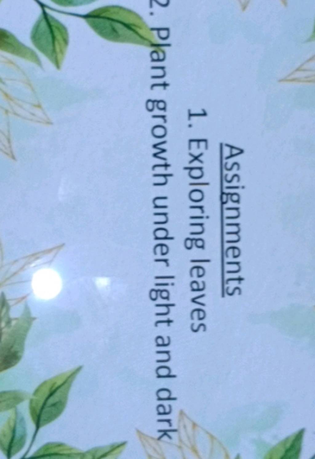 Assignments 1. Exploring leaves 2. Plant growth under light and dark