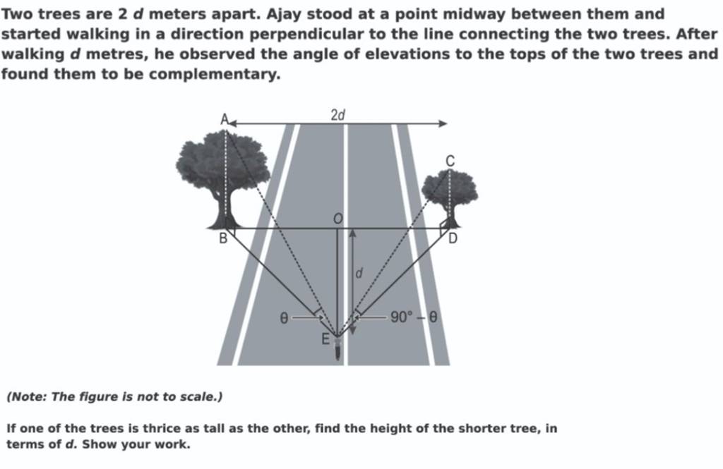 Two trees are 2d meters apart. Ajay stood at a point midway between them