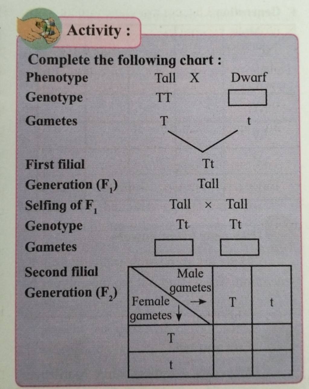 Activity : Complete the following chart : | Filo