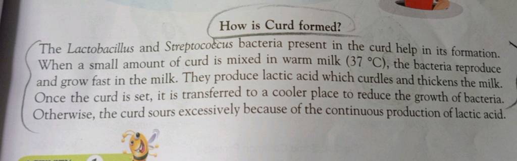 How is Curd formed? The Lactobacillus and Streptococcus bacteria present