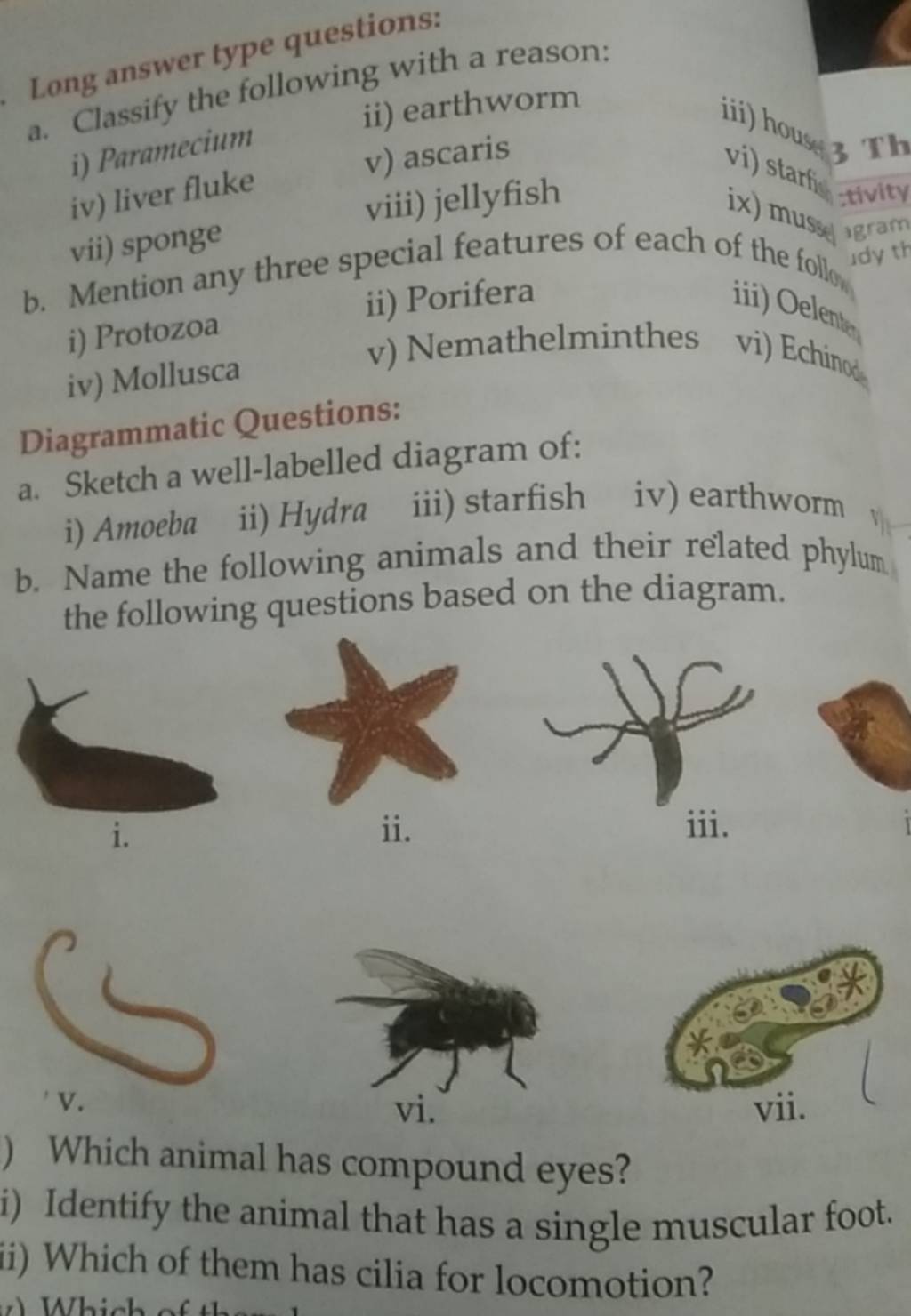 Name the following animals and their related phylum the following questio..