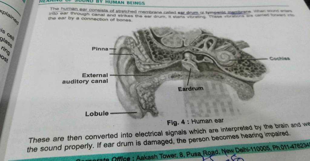 the ear by a connection of bones. Fig. 4 : Human ear These are then conve..