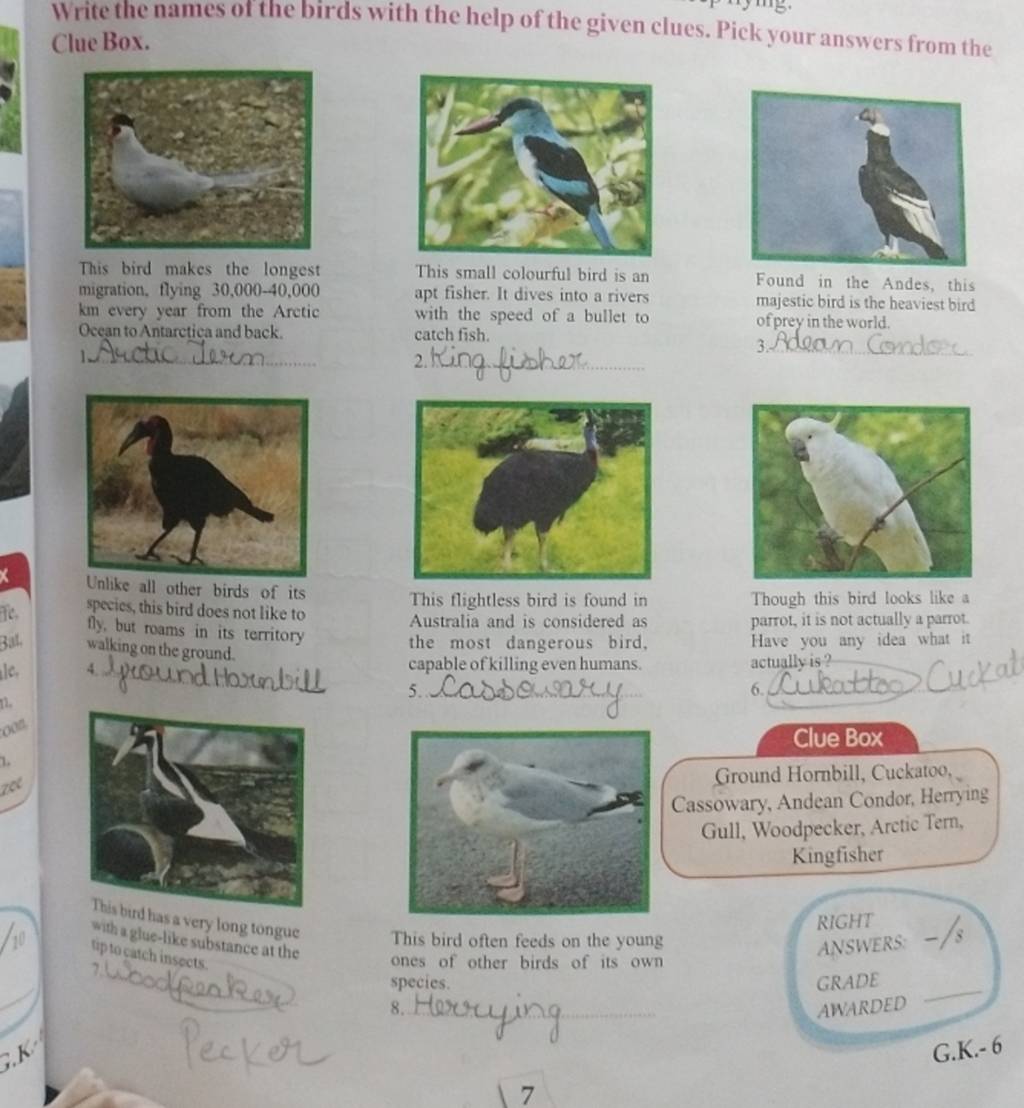 Write the names of the birds with the help of the given clues. Pick your