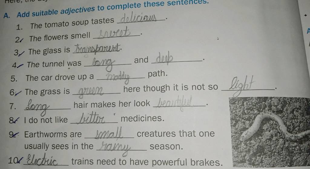 A. Add suitable adjectives to complete these sentences. 1. The tomato sou..