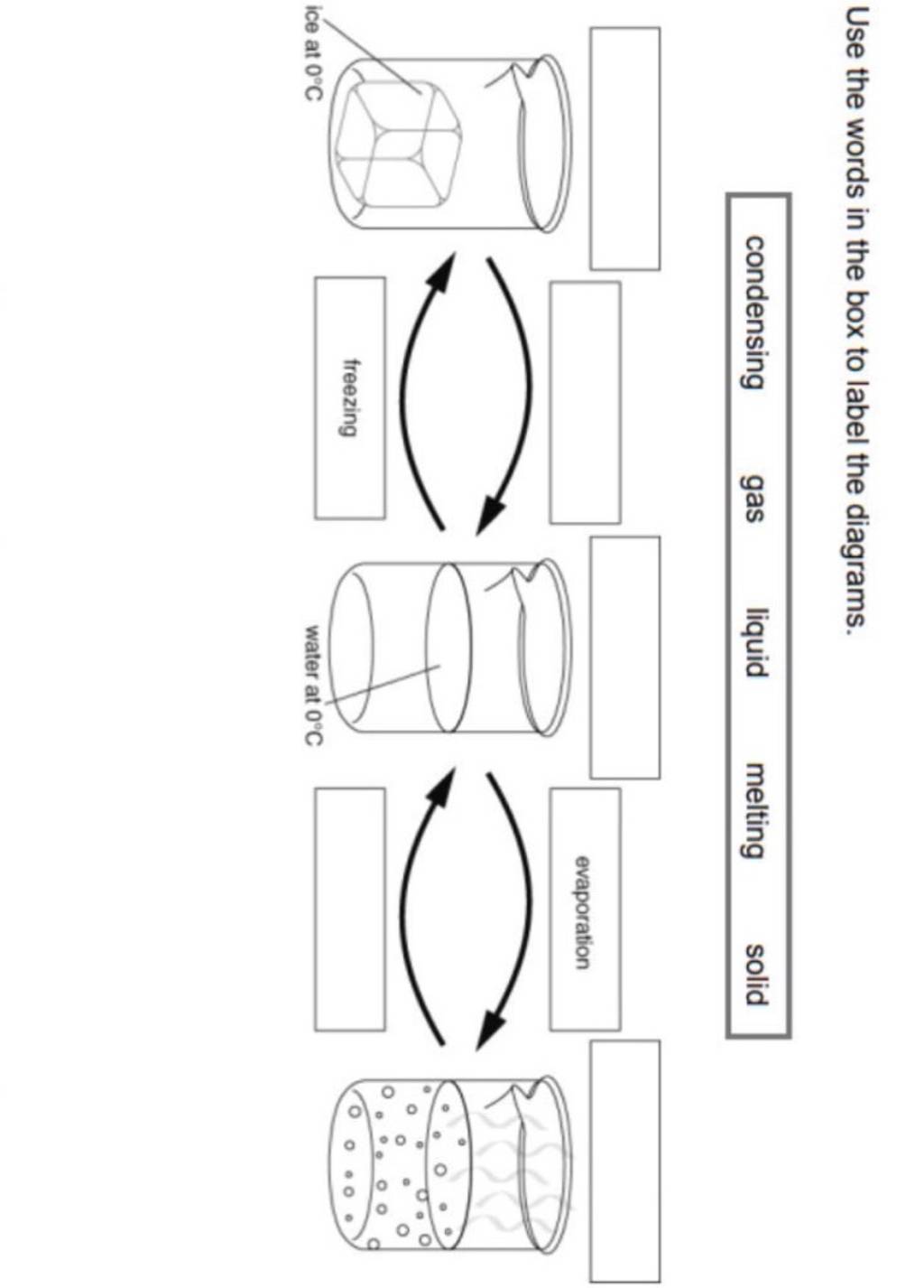 Use the words in the box to label the diagrams. | Filo