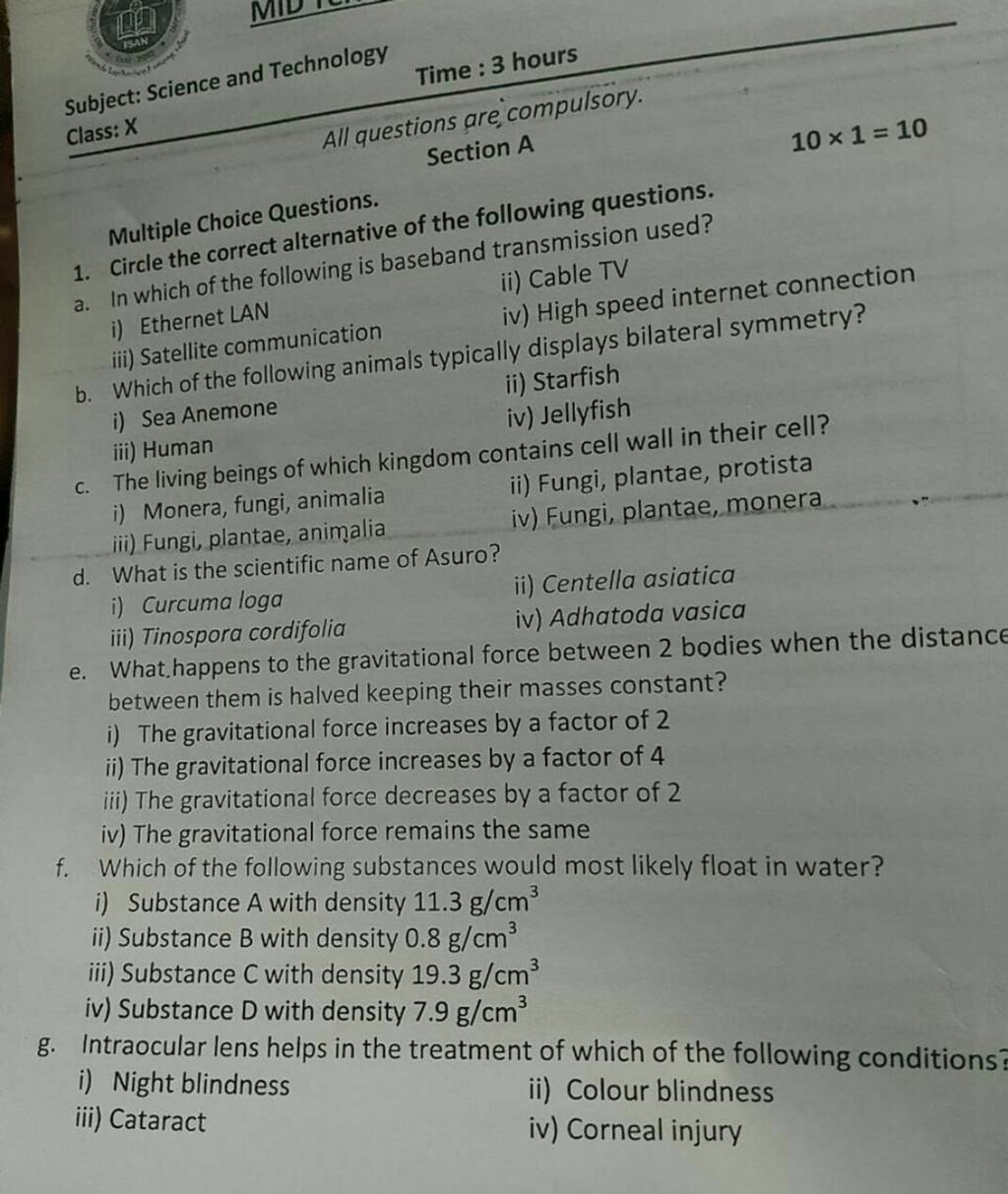 What is the scientific name of Asuro? | Filo