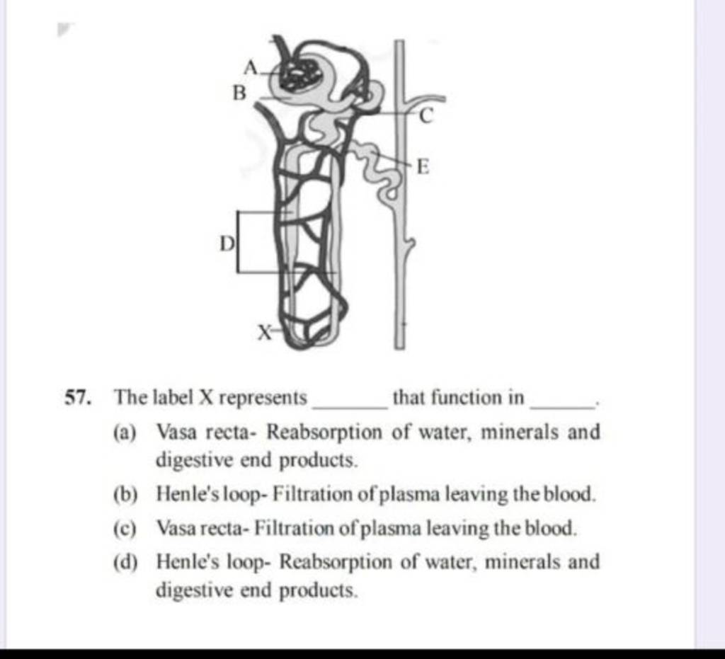 The label X represents that function in | Filo