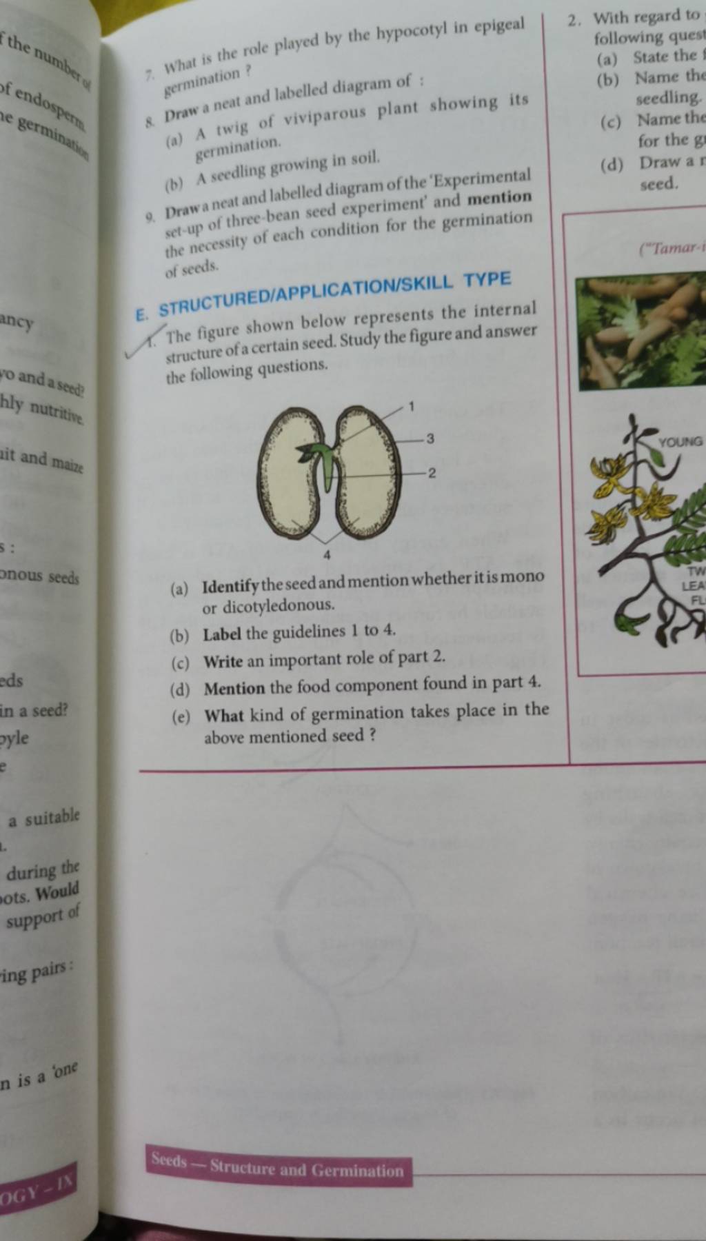 Draw a neat and labelled diagram of the 'Experimental set-up of three bea..