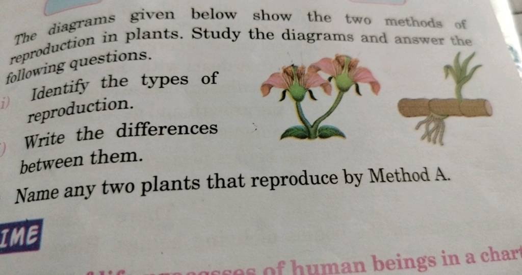 The diagrams given below show the two methods of reproduction in plants.