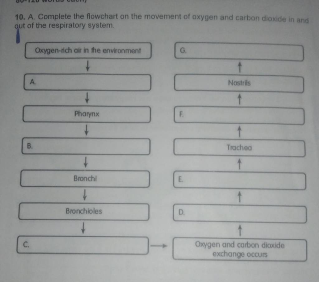 10. A. Complete the flowchart on the movement of oxygen and carbon dioxid..