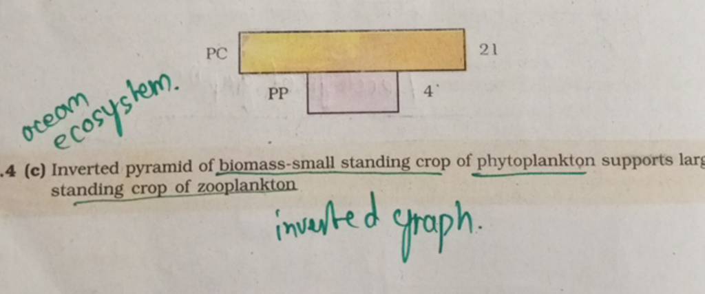 4 (c) Inverted pyramid of biomass-small standing crop of phytoplankton su..