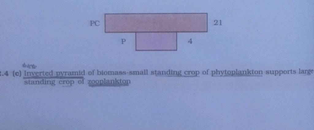 PC tent (c) Inverted pyramid of biomass-small standing crop of phytoplank..