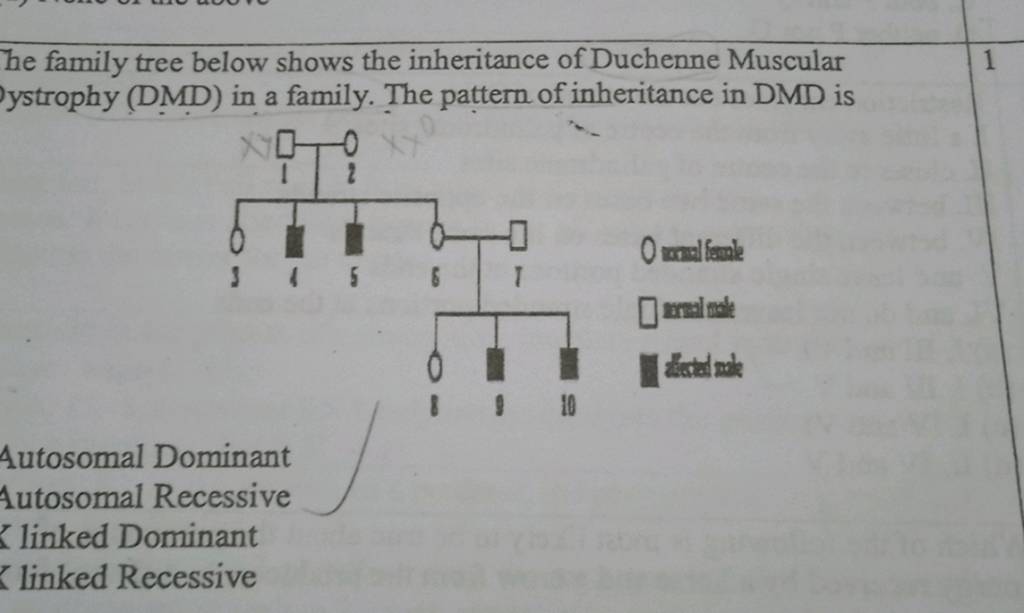 he family tree below shows the inheritance of Duchenne Muscular ystrophy