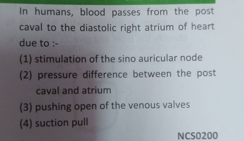 In humans, blood passes from the post caval to the diastolic right atrium..