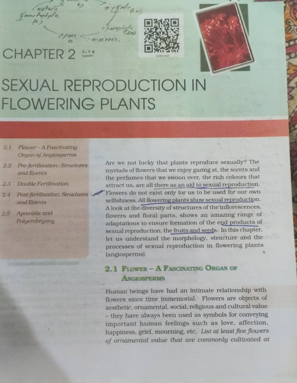 SEXUAL REPRODUCTION IN FLOWERING PLANTS 2.1 Flower-A Fascinating Organ of..
