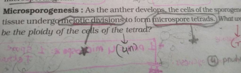 Microsporogenesis : As the anther develops, the cells of the sporogen tis..